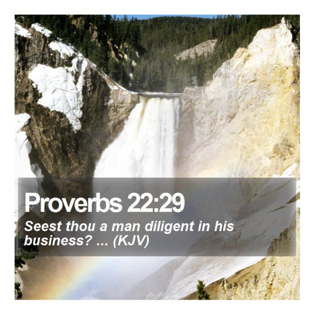 Proverbs 22:29 - Daily Bible Verse | PDF