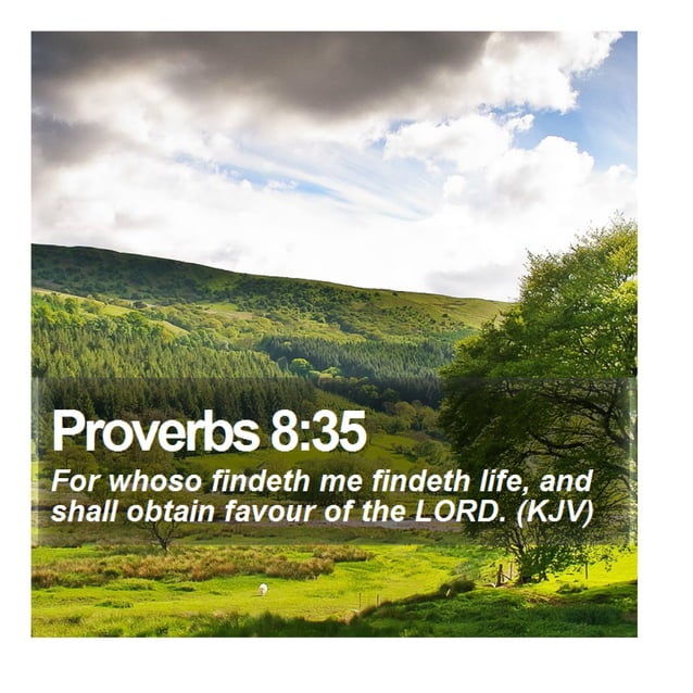 Proverbs 8:35 - Daily Bible Verse | PDF
