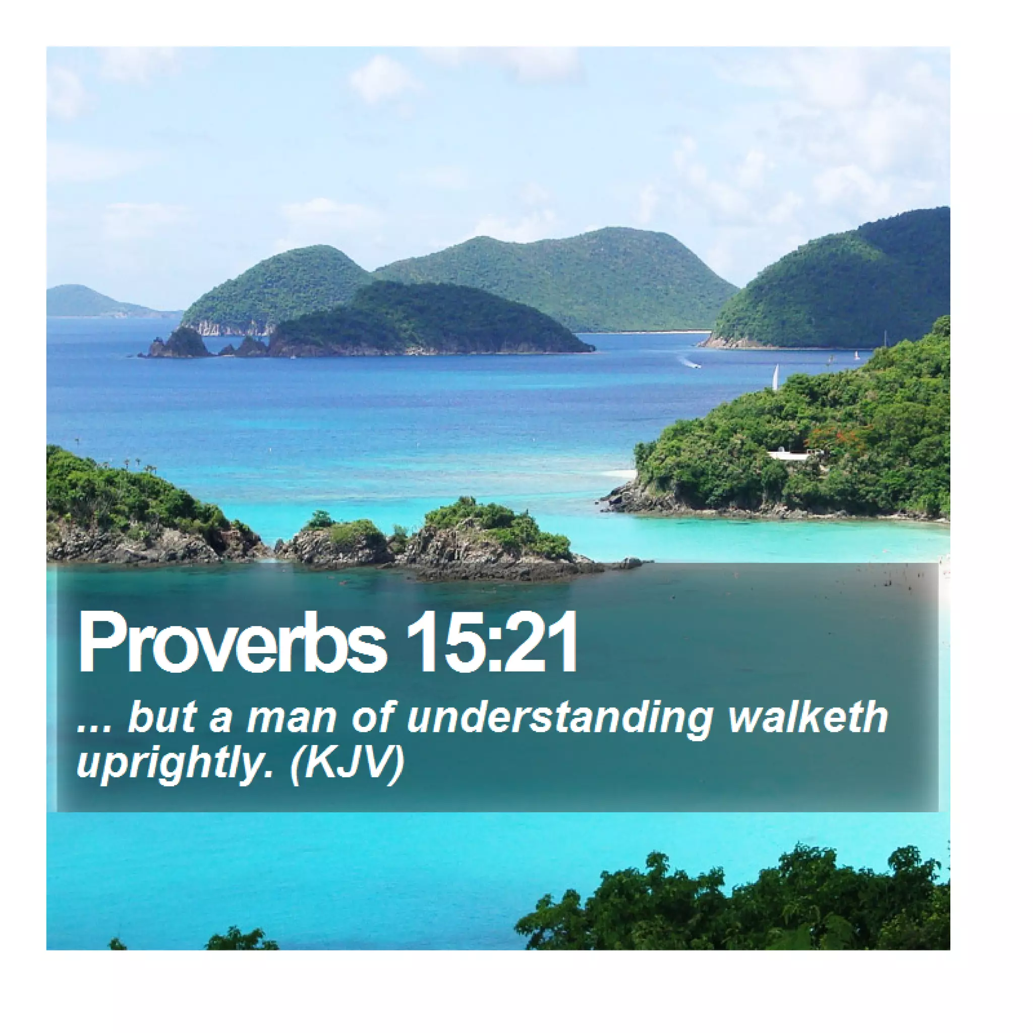 Proverbs 15:21 - Daily Bible Verse | PDF