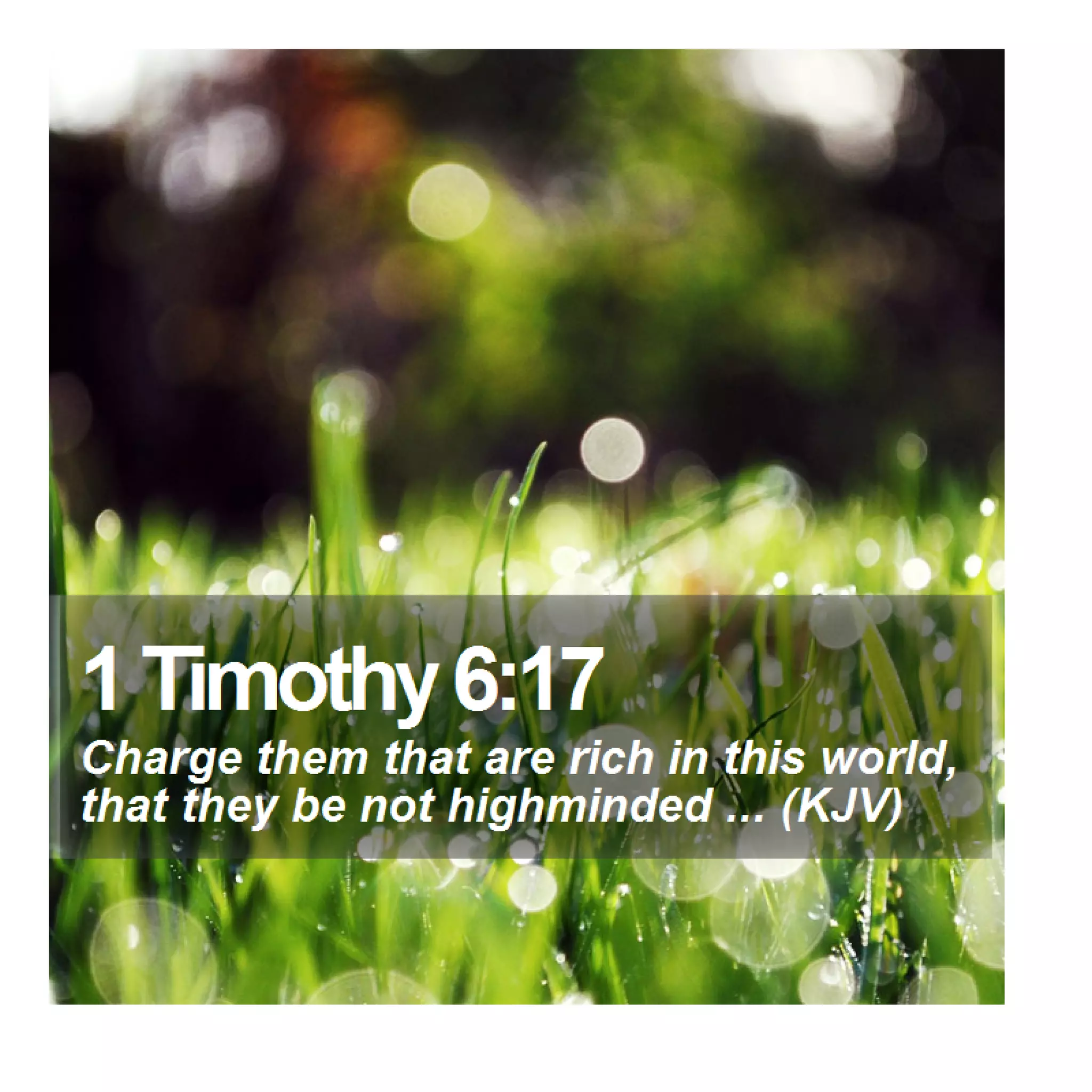 1 Timothy 6:17 - Daily Bible Verse | PDF