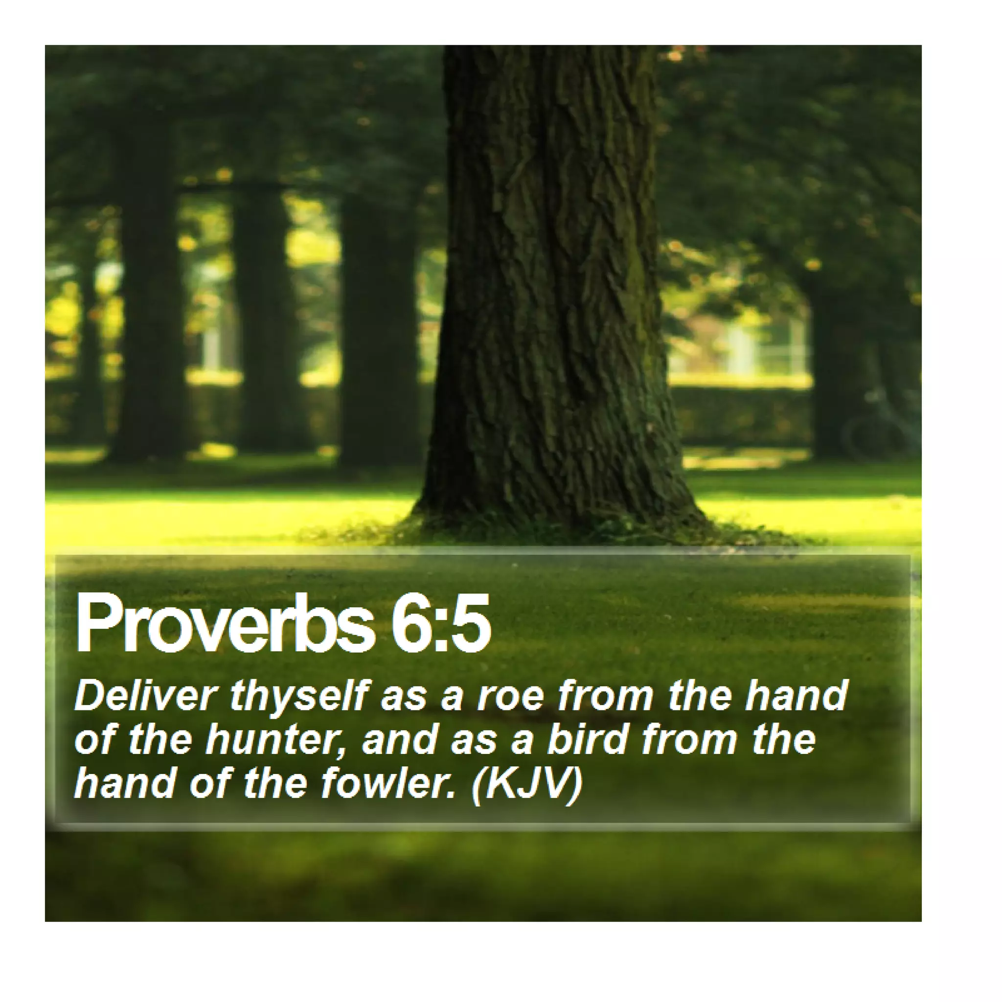 Proverbs 6:5 - Daily Bible Verse | PDF