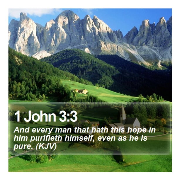 1 John 3:3 - Daily Bible Verse | PDF