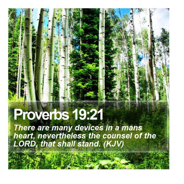 Proverbs 19:21 - Daily Bible Verse | PDF