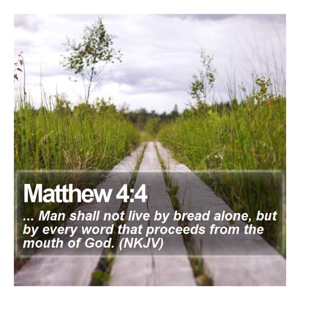 Matthew 4:4 - Daily Bible Verse | PDF