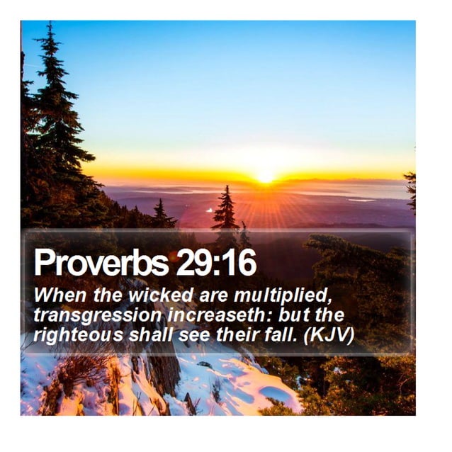 Proverbs 29:16 - Daily Bible Verse | PDF