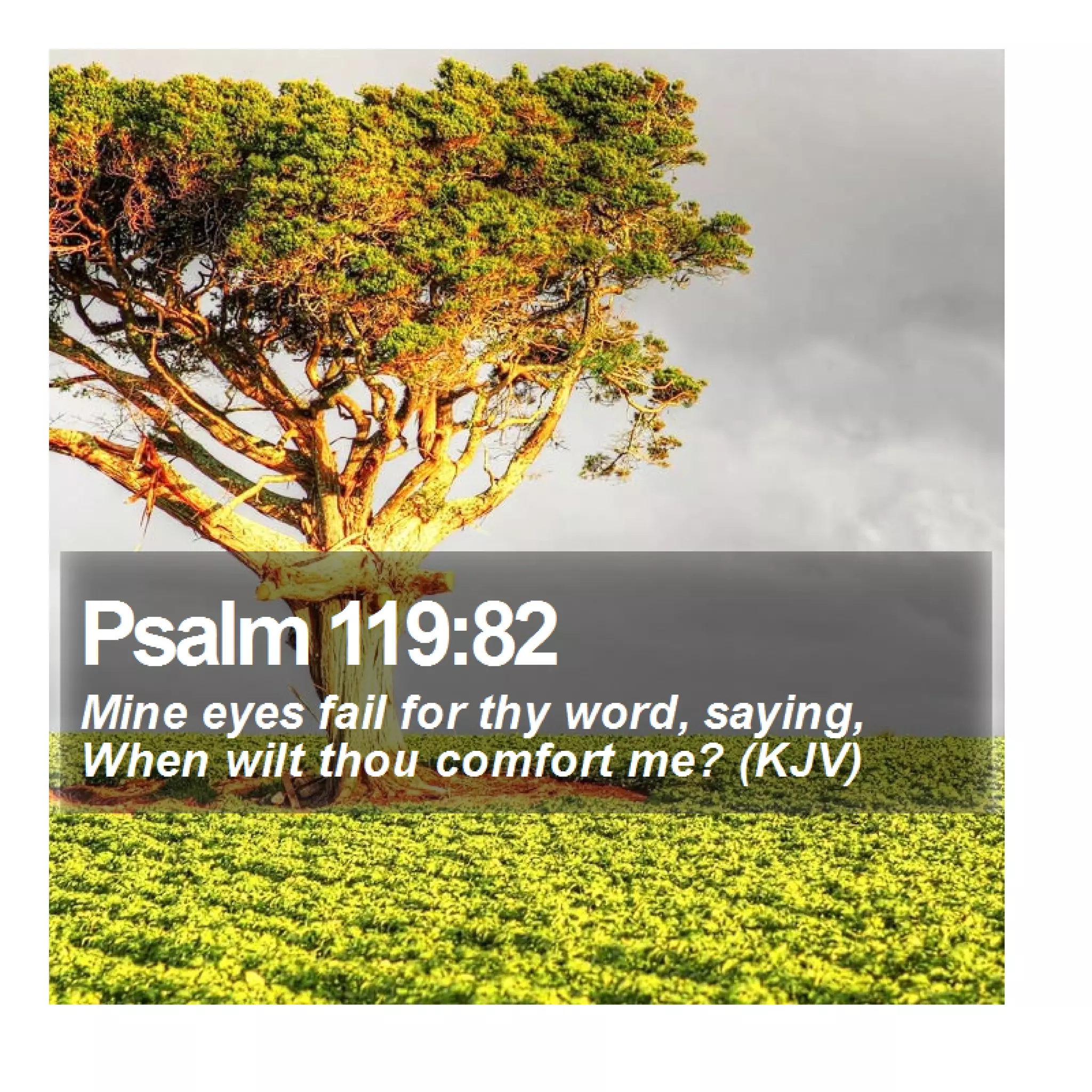 Psalm 119:82 - Daily Bible Verse | PDF