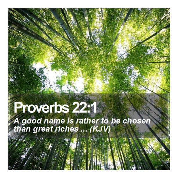 Proverbs 22:1 - Daily Bible Verse | PDF