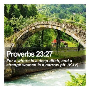 Proverbs 23:27 - Daily Bible Verse | PDF