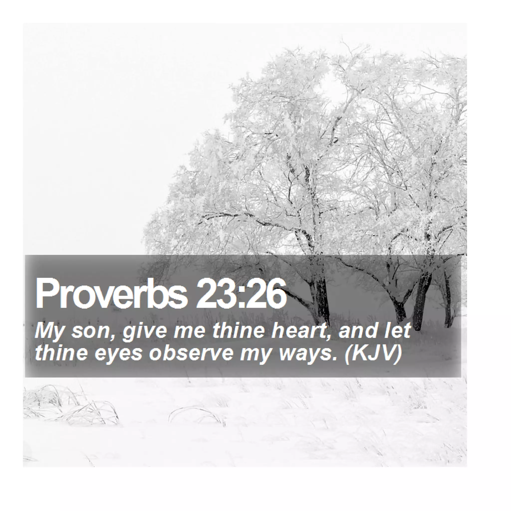 Proverbs 23:26 - Daily Bible Verse | PDF