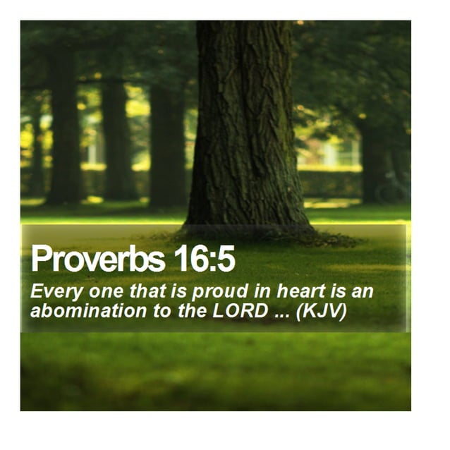 Proverbs 16:5 - Daily Bible Verse | PDF