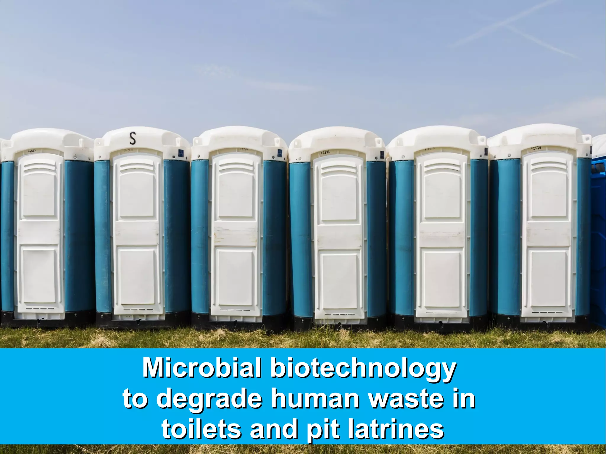 Microbial biotechnology to degrade human waste in toilets and pit ...