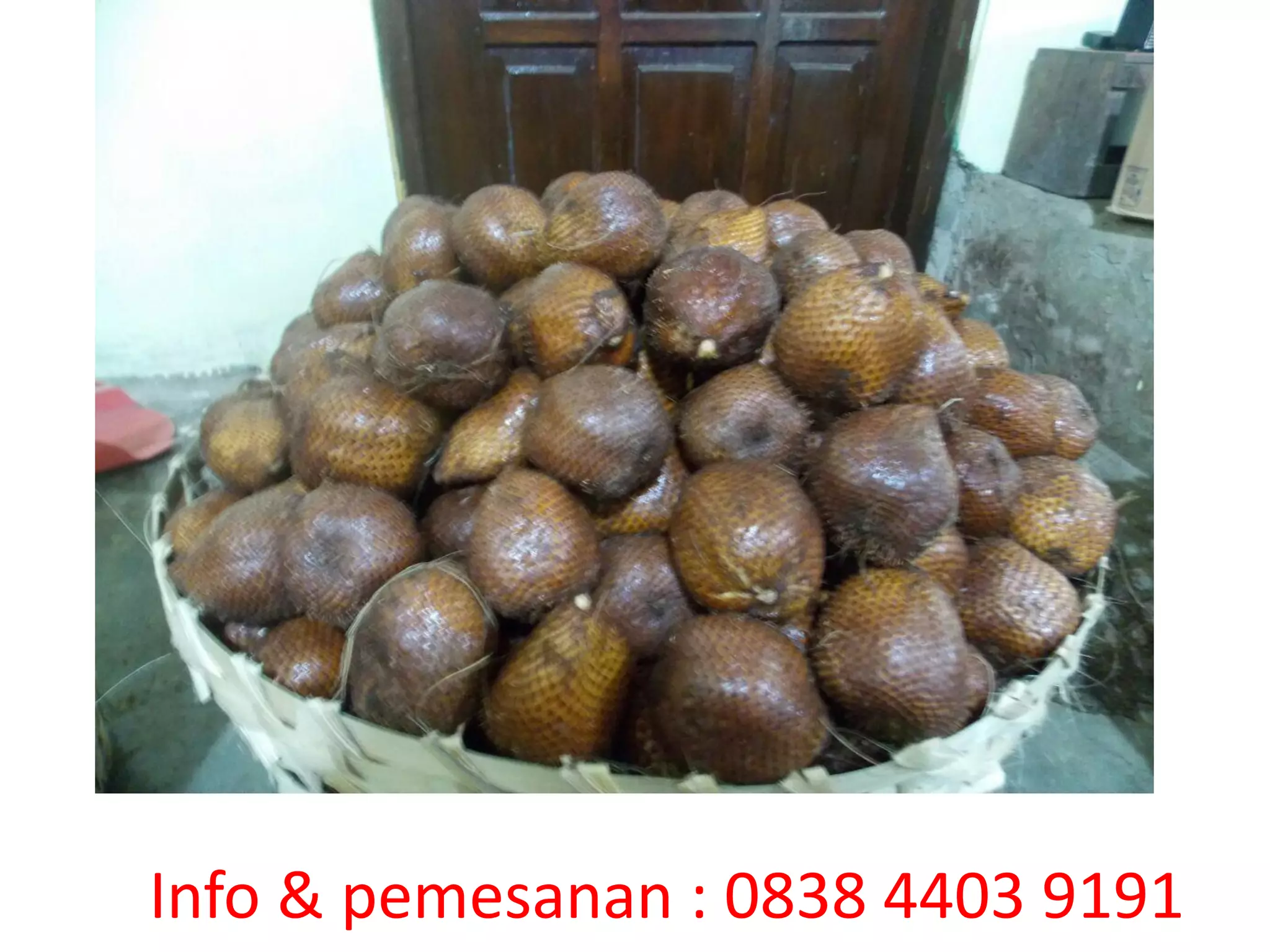 suplayer salak pondoh super surabaya | PDF