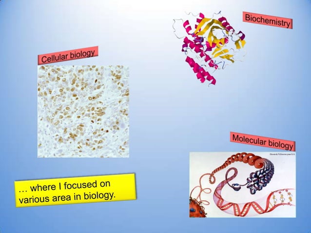 Slideshare Cv | PPTX