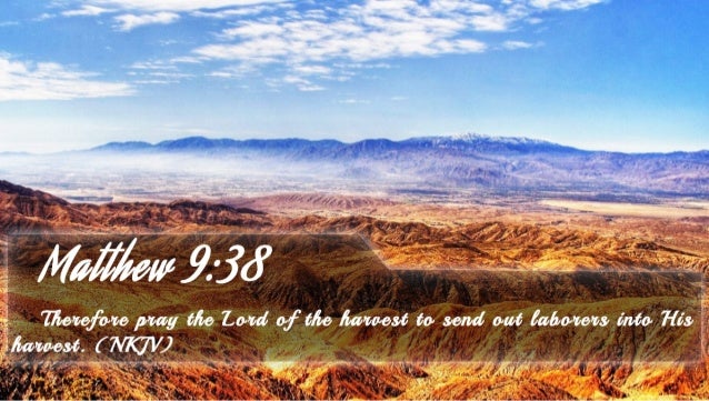 Matthew 9:38 - Bible Verse of the Day