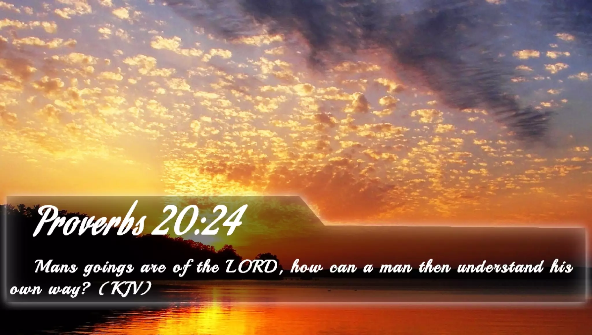 Proverbs 20:24 - Bible Verse of the Day | PPT