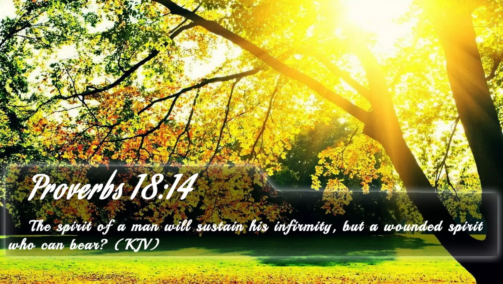Proverbs 18:14 - Bible Verse of the Day | PDF