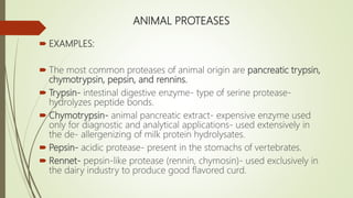 Production of protease enzyme from different sources. | PPTX