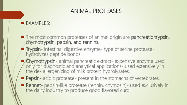 Production of protease enzyme from different sources. | PPTX
