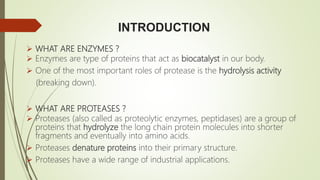 Production of protease enzyme from different sources. | PPTX