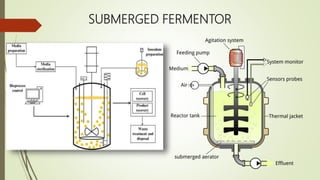 Production of protease enzyme from different sources. | PPTX