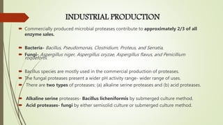 Production of protease enzyme from different sources. | PPTX