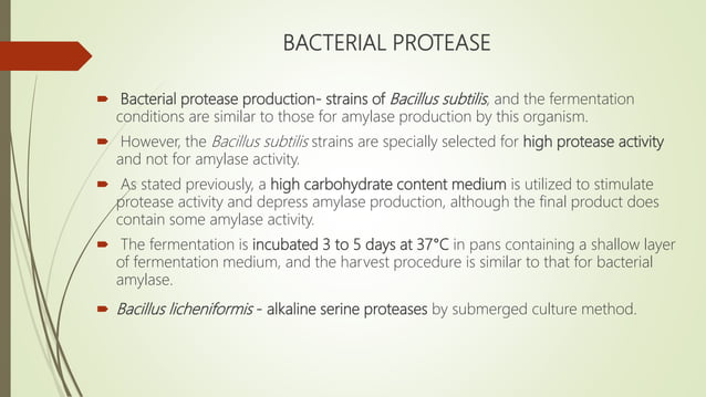 Production of protease enzyme from different sources. | PPT