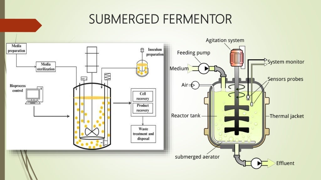 Production of protease enzyme from different sources.