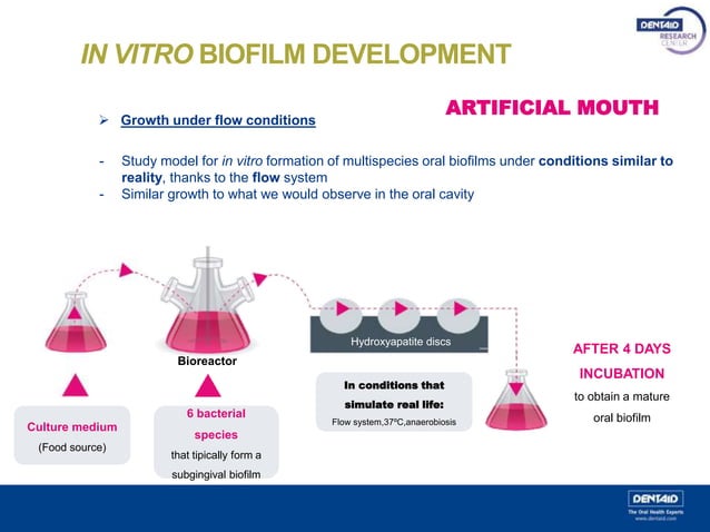 Studying Oral Biofilms | PPTX