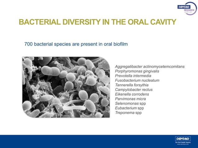 Studying Oral Biofilms | PPTX