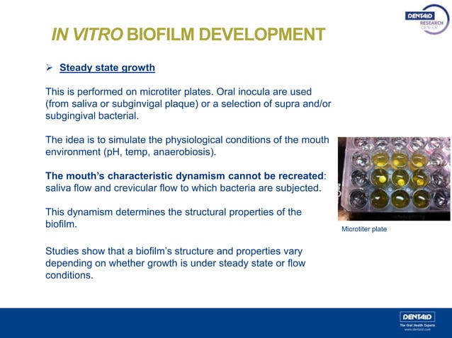 Studying Oral Biofilms | PPTX