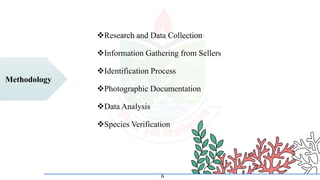 Identification of freshwater fish species at a fish market in ...
