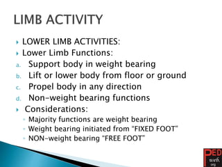 Functional Re-education Basics | PPSX