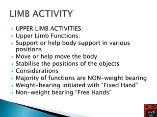 Functional Re-education Basics | PPSX