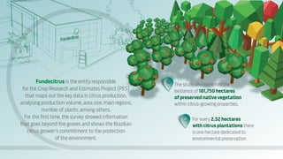Fundecitrus: science and sustainability in citriculture | PDF
