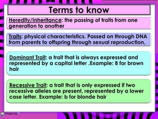 FUNDAMENTALS OF GENETICS SECONDARY GRADES | PPTX
