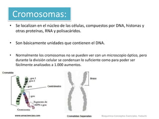 Cromosomas y Cariotipo. | PPTX