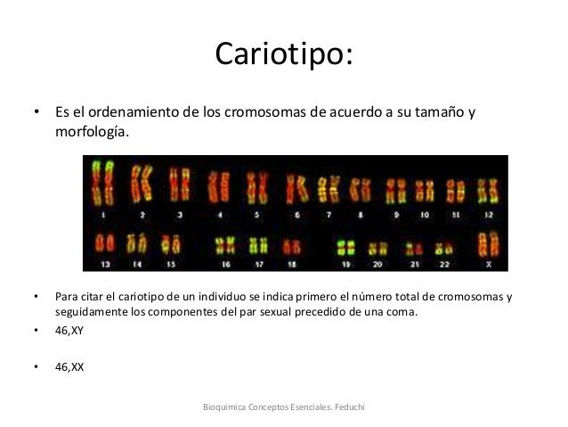 Cromosomas y Cariotipo.