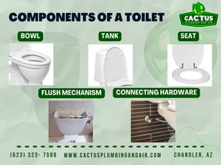 Types of Toilets (A Complete Guide) | PDF