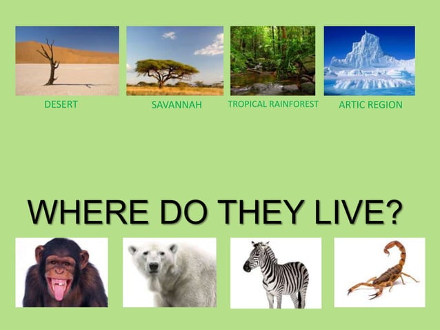 Slideshare habitat | PPT