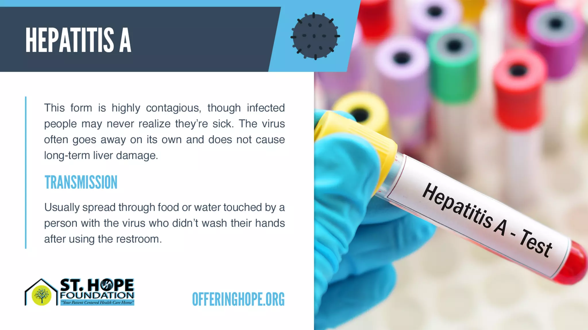 How Is Hepatitis Transmitted? | PDF | Infectious Diseases | Diseases ...