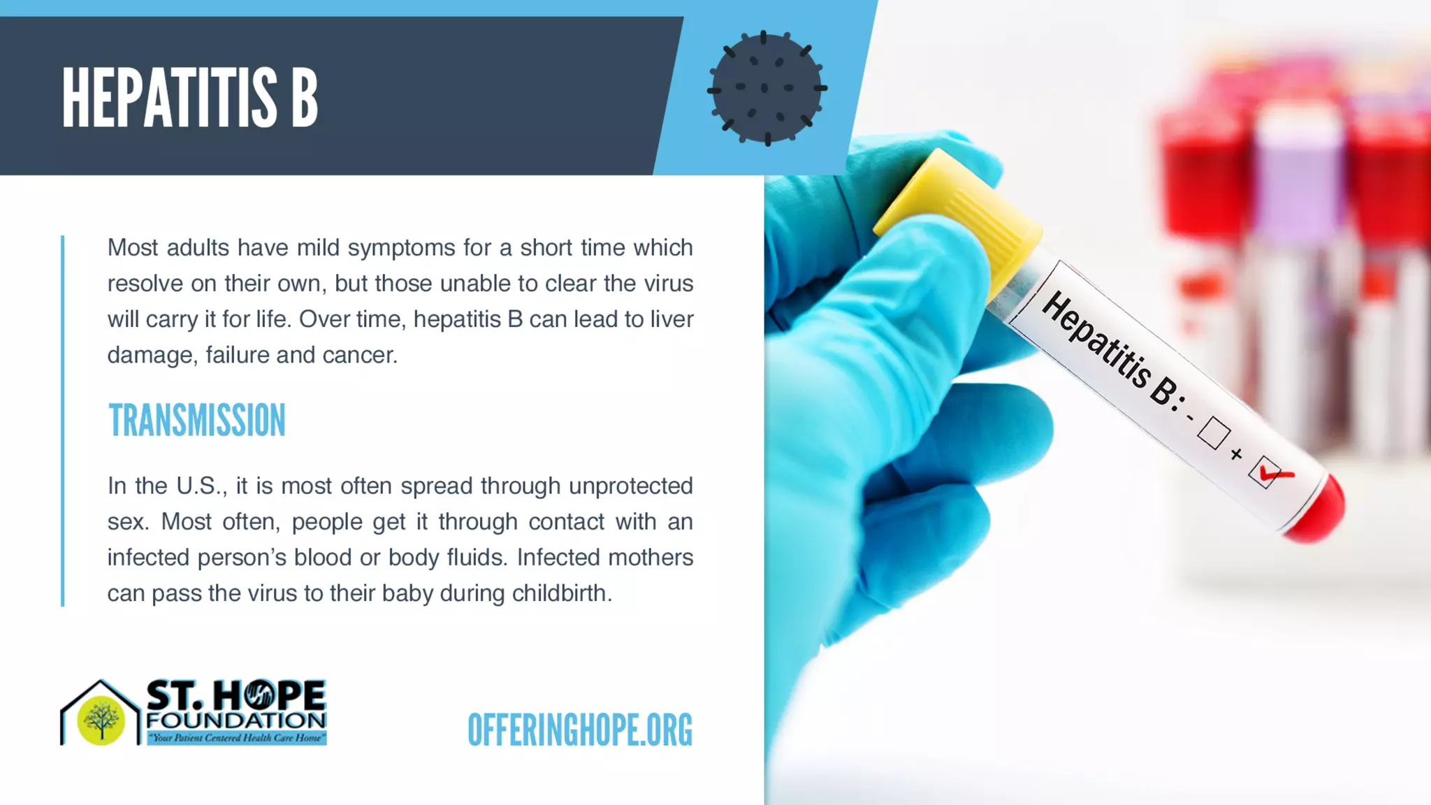 How Is Hepatitis Transmitted? | PDF | Infectious Diseases | Diseases ...