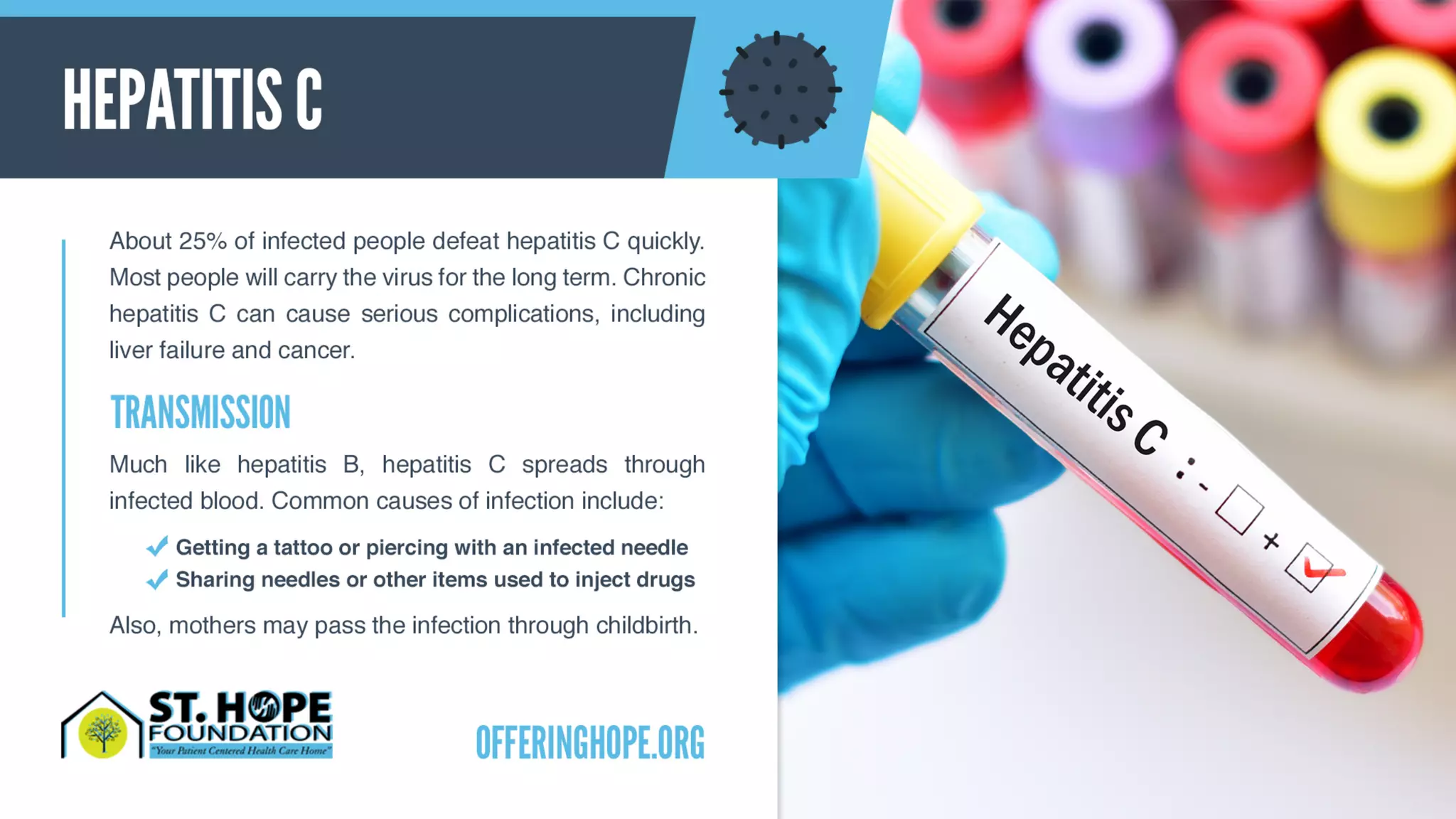 How Is Hepatitis Transmitted? | PDF | Infectious Diseases | Diseases ...