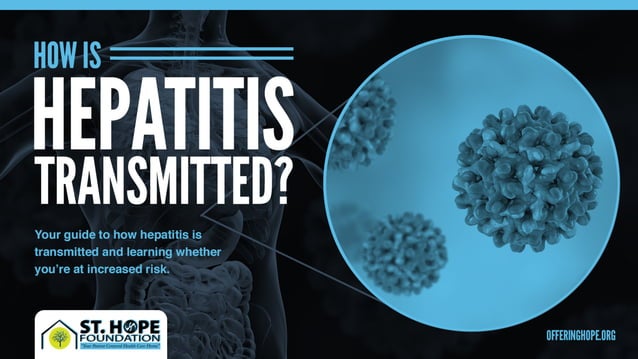 How Is Hepatitis Transmitted? | PDF | Infectious Diseases | Diseases ...