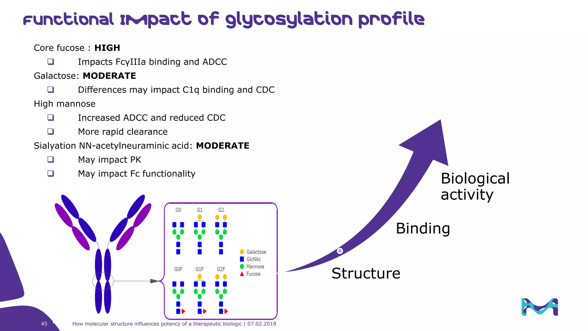 How Molecular Structure Influences Potency of a Therapeutic Biologic | PPT