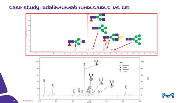How Molecular Structure Influences Potency of a Therapeutic Biologic | PPT