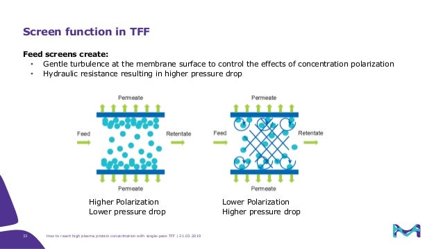 How to reach High Plasma Protein Concentration with Single-Pass TFF