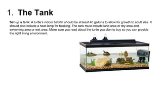 Taking Care of a Pet Turtle | PPT