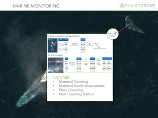 EnviroDrone | Environmental Monitoring and Management | PPT