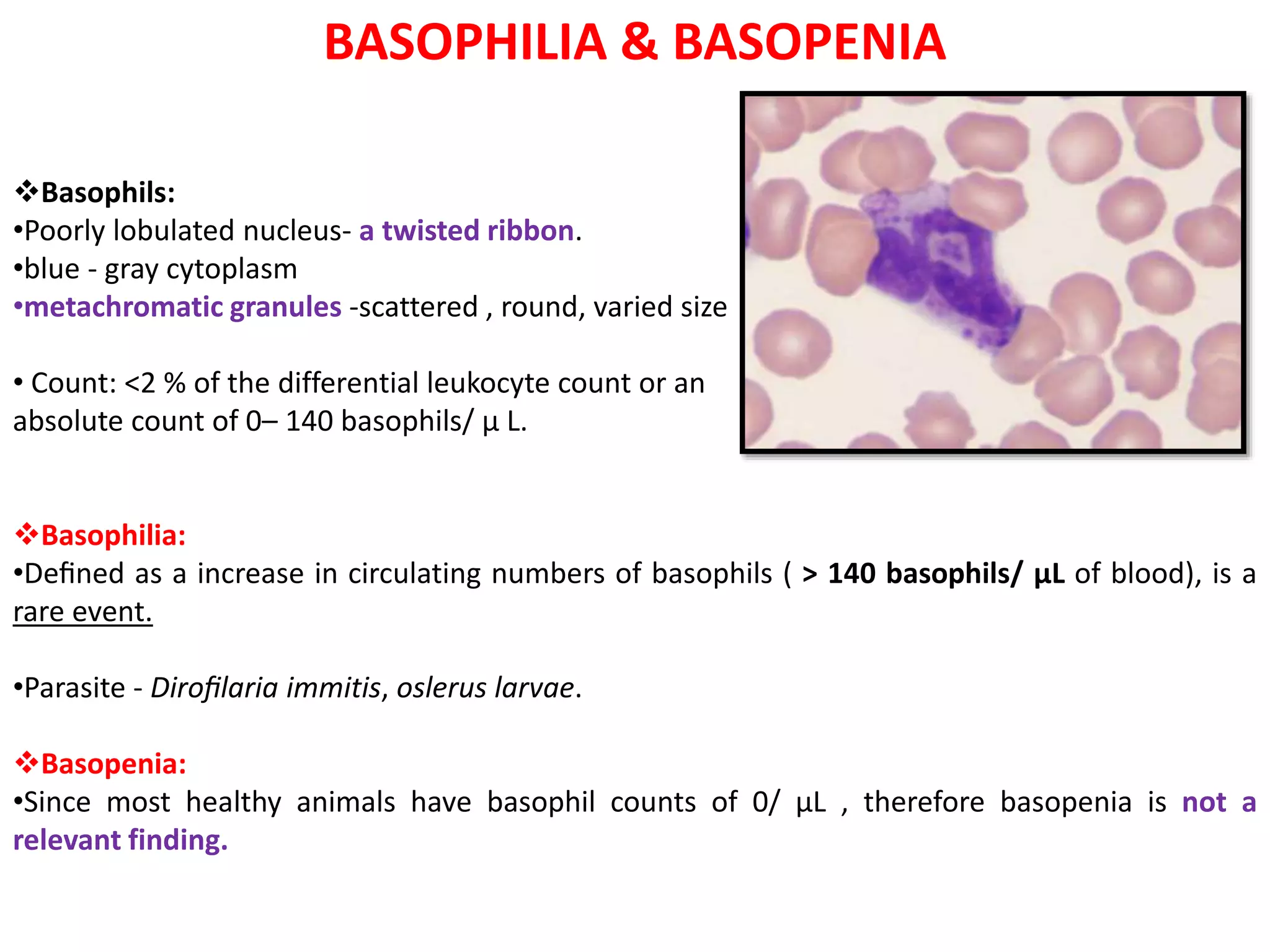 Interpretation of Canine Leukocyte Responses | PPTX