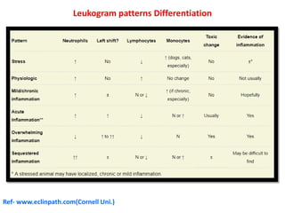 Interpretation of Canine Leukocyte Responses | PPTX